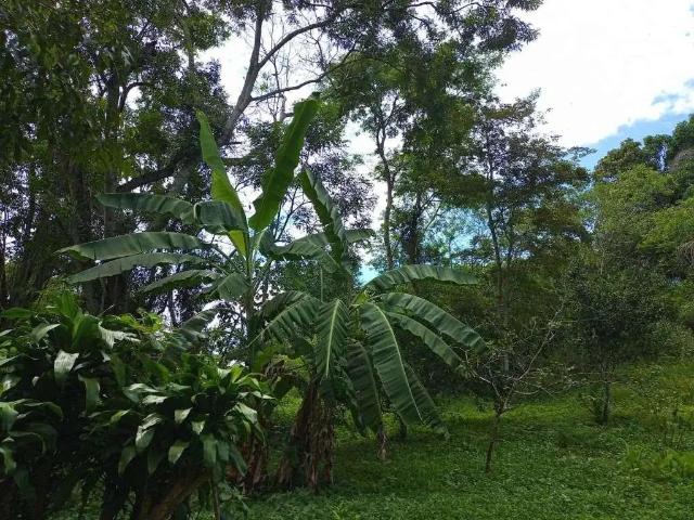 Terreno / Lote para Venda em Maricá/RJ Itaipuaçú