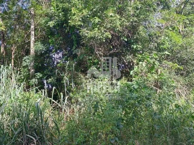 Terreno / Lote para Venda em Maricá/RJ Itaipuaçú