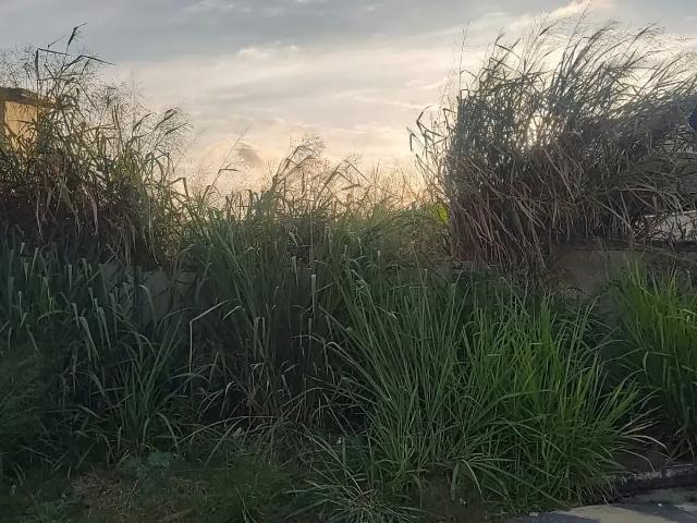 Terreno / Lote para Venda em Maricá/RJ Jardim Atlântico Central Itaipuaçu