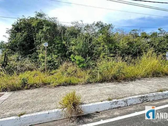 Terreno / Lote para Venda em Maricá/RJ Jardim Atlântico Leste Itaipuaçu