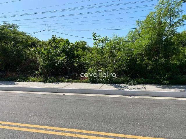 Terreno / Lote para Venda em Maricá/RJ Jardim Atlântico Leste Itaipuaçu