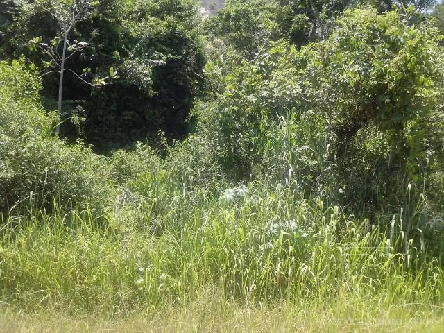 Terreno / Lote para Venda em Maricá/RJ Morada das Águias Itaipuaçu