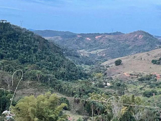 Terreno / Lote para Venda em Mariana/MG Cachoeira Do Brumado