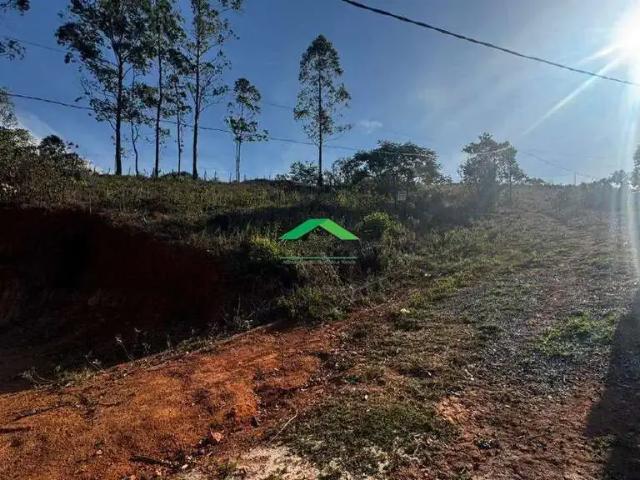 Terreno / Lote para Venda em Mariana/MG Padre Viegas