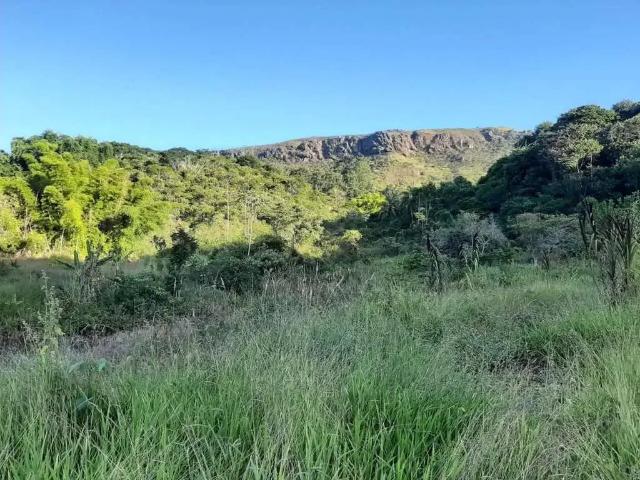 Terreno / Lote para Venda em Mariana/MG Zona Rural