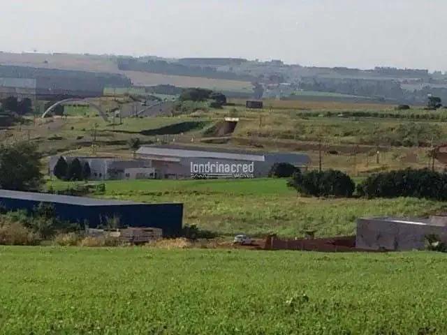 Terreno / Lote para Venda em Marialva/PR Centro