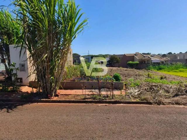 Terreno / Lote para Venda em Marialva/PR Centro