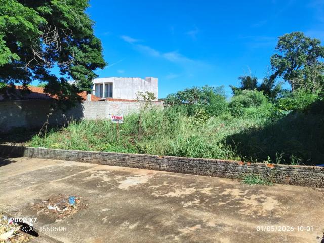 Terreno / Lote para Venda em Marialva/PR Conjunto Habitacional Giacomo Colombari