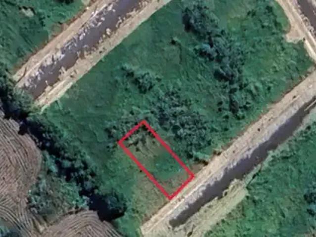 Terreno / Lote para Venda em Marialva/PR Jardim Jaguaruna