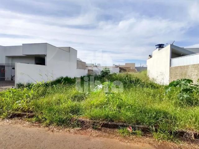 Terreno / Lote para Venda em Marialva/PR Jardim Planalto