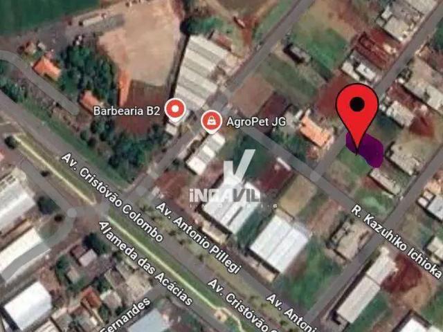 Terreno / Lote para Venda em Marialva/PR Jardim Shenandoa