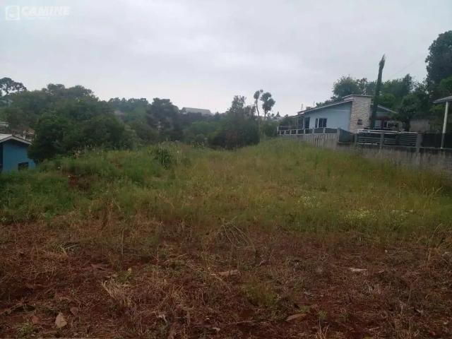 Terreno / Lote para Venda em Mariópolis/PR Armando Broch