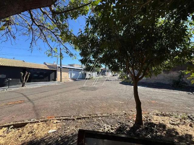Terreno / Lote para Venda em Marília/SP Conjunto Residencial Luiz Egydio de Cerqueira César