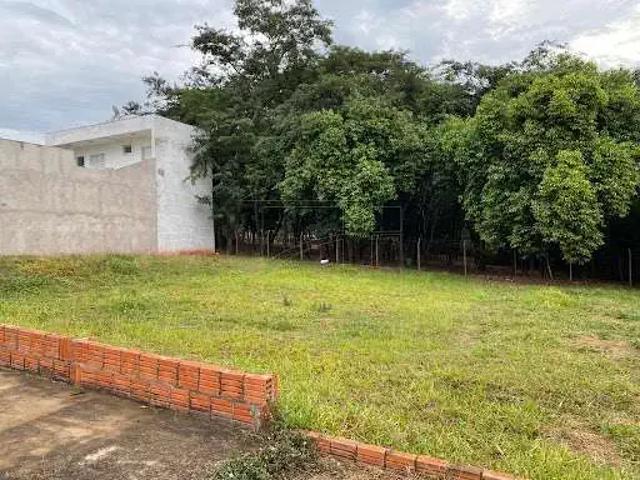 Terreno / Lote para Venda em Marília/SP Centro Rosália