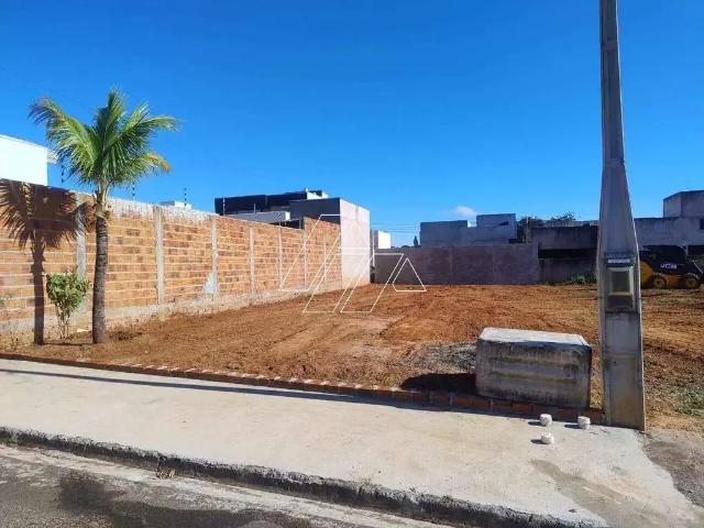 Terreno / Lote para Venda em Marília/SP Centro Rosália