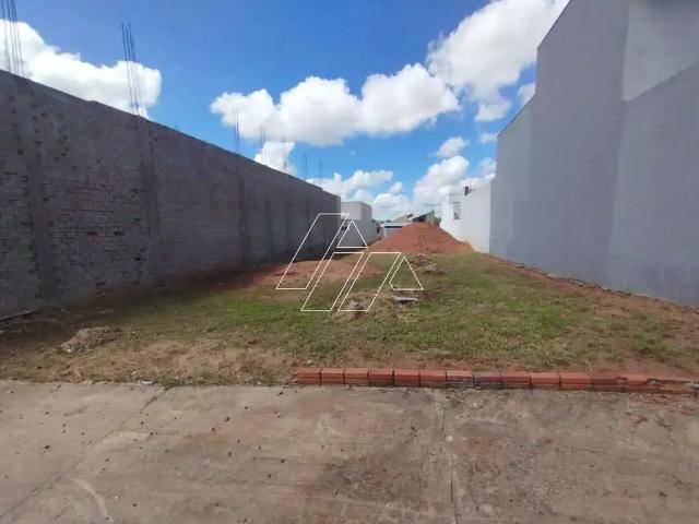 Terreno / Lote para Venda em Marília/SP Centro Rosália