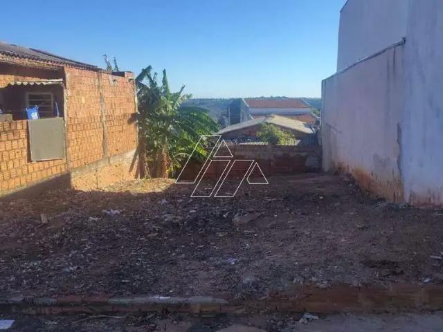 Terreno / Lote para Venda em Marília/SP Antonio Carlos Nascimento da Silva