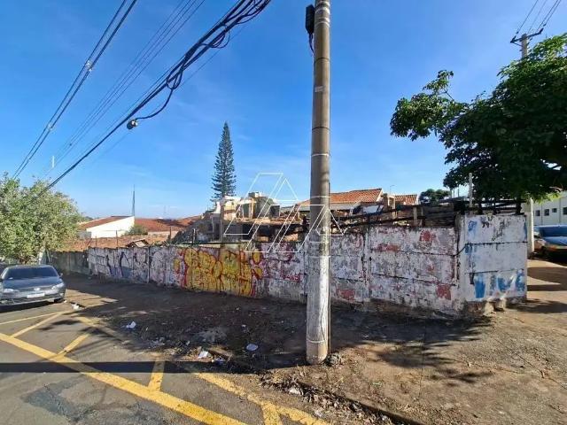 Terreno / Lote para Venda em Marília/SP Alto Cafezal