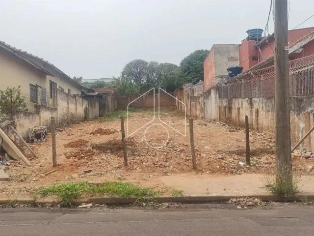 Terreno / Lote para Venda em Marília/SP Alto Cafezal