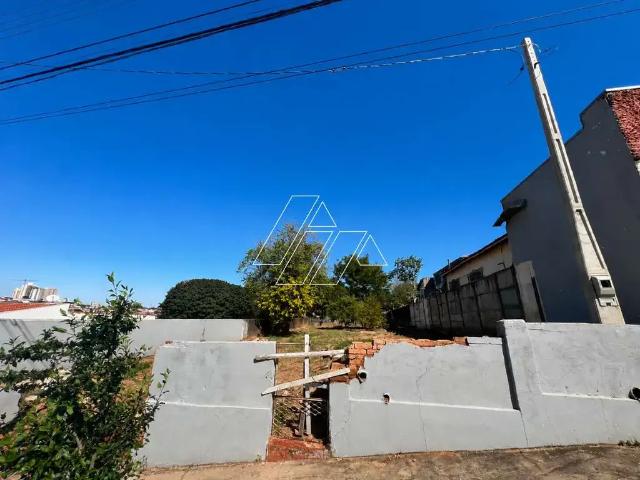 Terreno / Lote para Venda em Marília/SP Alto Cafezal