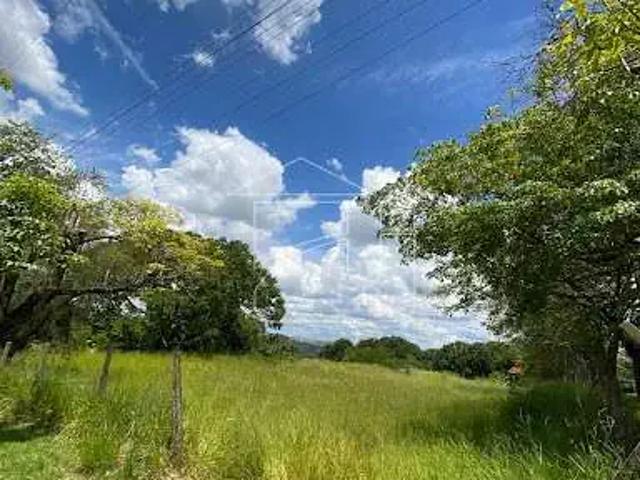 Terreno / Lote para Venda em Marília/SP Avencas Avencas