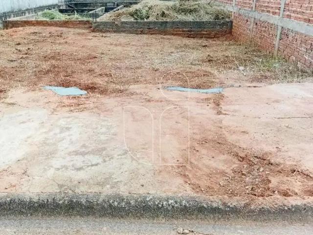 Terreno / Lote para Venda em Marília/SP Distrito Industrial