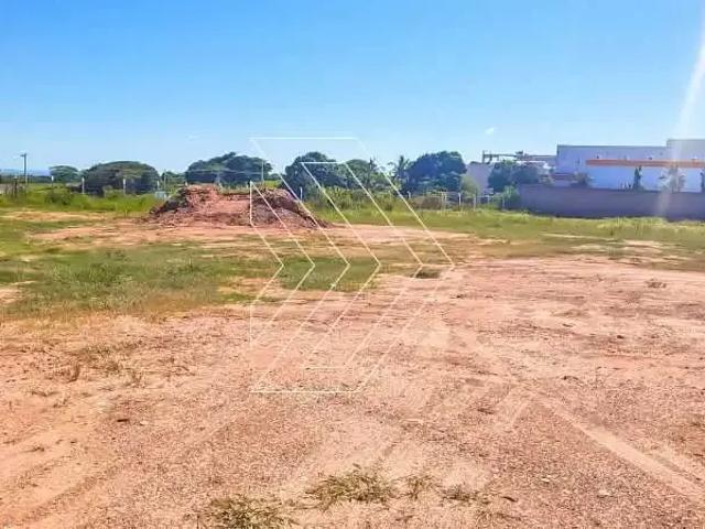 Terreno / Lote para Venda em Marília/SP Distrito Industrial Santo Barion