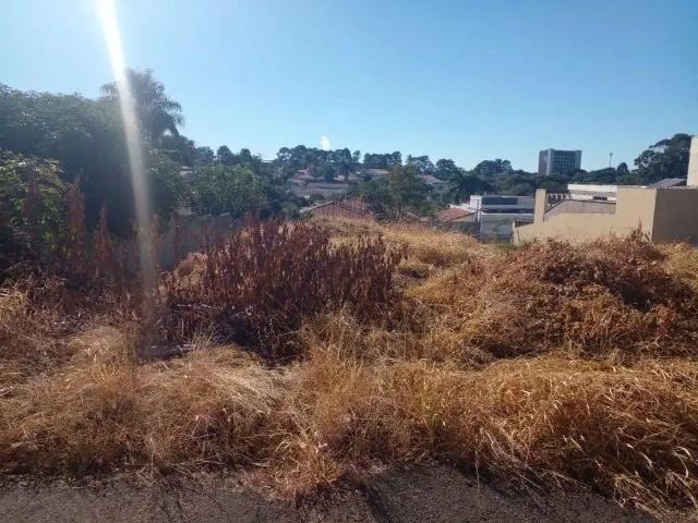 Terreno / Lote para Venda em Marília/SP Jardim Maria Martha