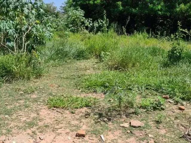 Terreno / Lote para Venda em Marília/SP Jardim Marília