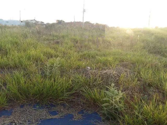 Terreno / Lote para Venda em Marília/SP Jardim Marília