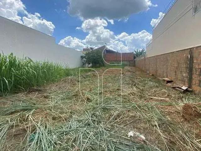 Terreno / Lote para Venda em Marília/SP Jardim Morumbi