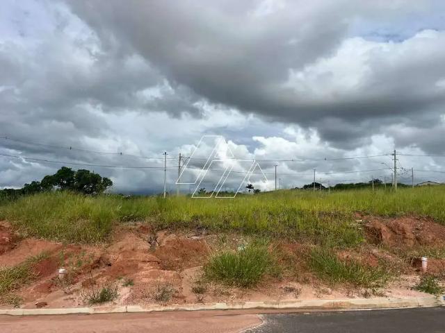 Terreno / Lote para Venda em Marília/SP Jardim Morumbi