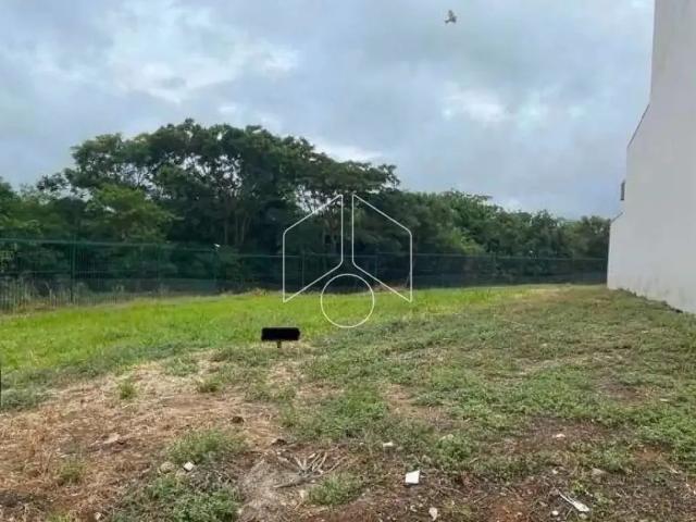 Terreno / Lote para Venda em Marília/SP Jardim América