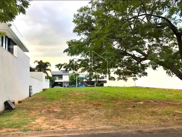 Terreno / Lote para Venda em Marília/SP Jardim América