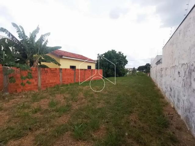 Terreno / Lote para Venda em Marília/SP Jardim Cavallari