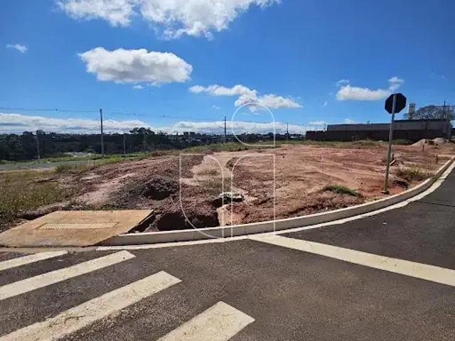 Terreno / Lote para Venda em Marília/SP Jardim Cavallari