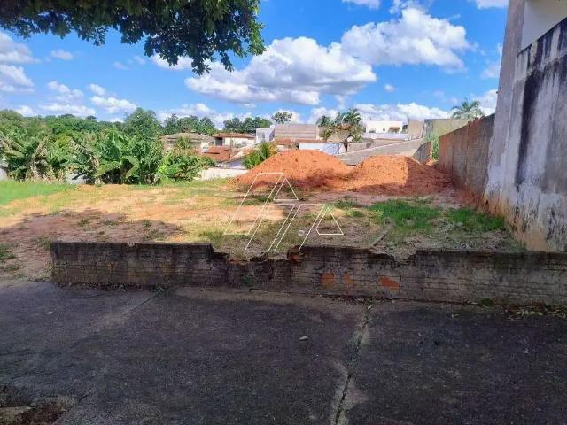 Terreno / Lote para Venda em Marília/SP Jardim Colibri