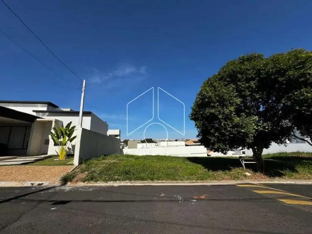 Terreno / Lote para Venda em Marília/SP Jardim Colibri