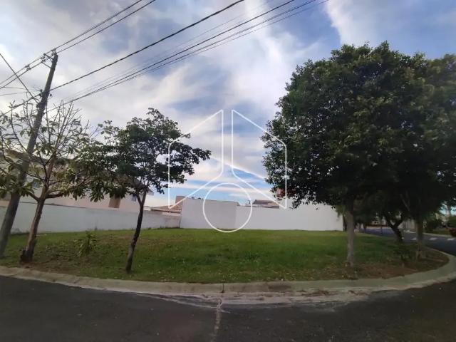 Terreno / Lote para Venda em Marília/SP Jardim Colibri