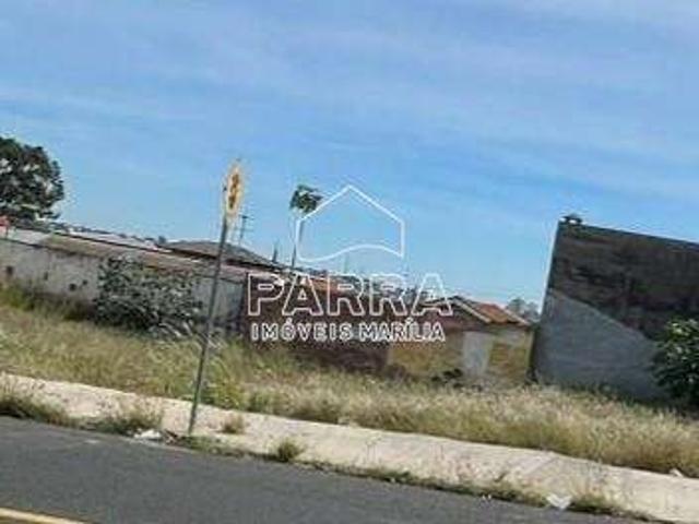 Terreno / Lote para Venda em Marília/SP Jardim Continental