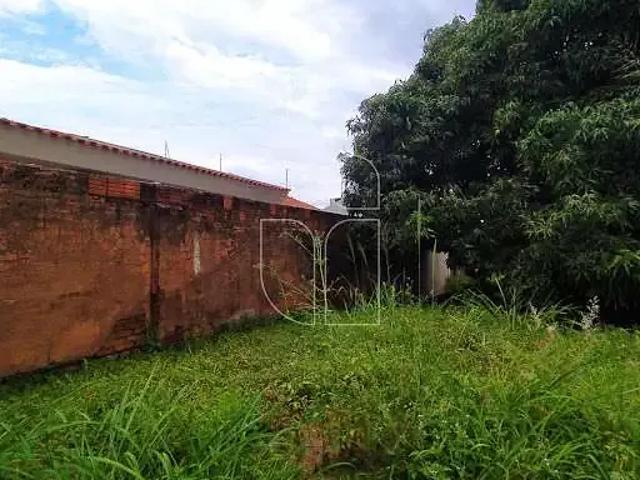 Terreno / Lote para Venda em Marília/SP Jardim Dirceu