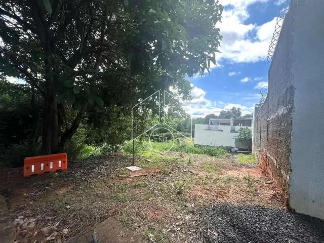 Terreno / Lote para Venda em Marília/SP Jardim Estoril
