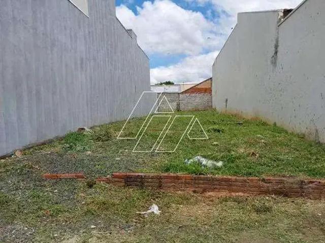 Terreno / Lote para Venda em Marília/SP Jardim Flamingo