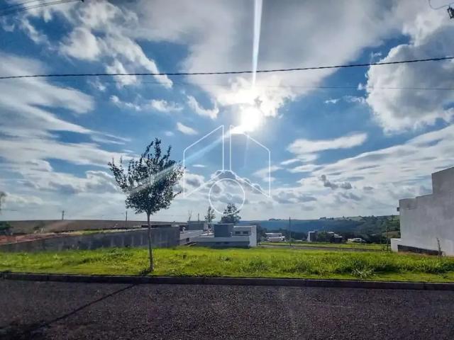 Terreno / Lote para Venda em Marília/SP Jardim Flamingo