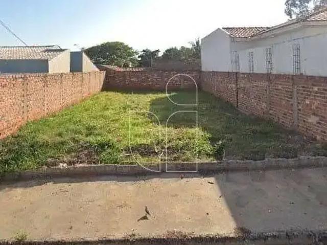 Terreno / Lote para Venda em Marília/SP Jardim Flora Rica