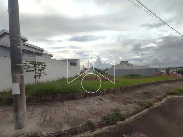 Terreno / Lote para Venda em Marília/SP Jardim Florença