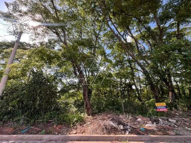 Terreno / Lote para Venda em Marília/SP Jardim Estoril