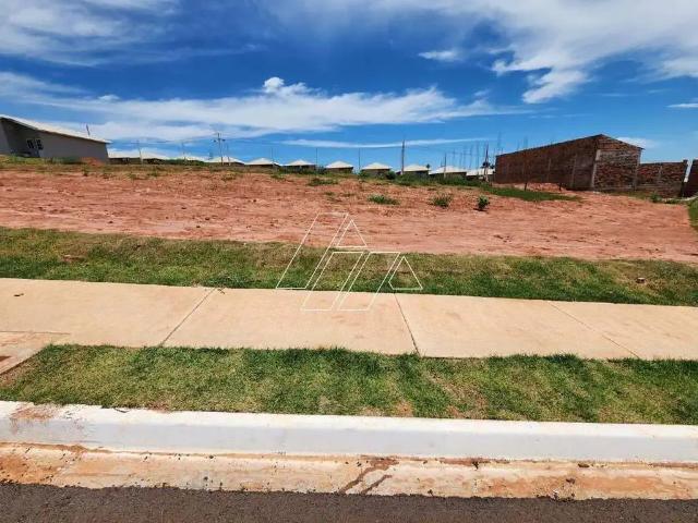 Terreno / Lote para Venda em Marília/SP Jardim Paraíso