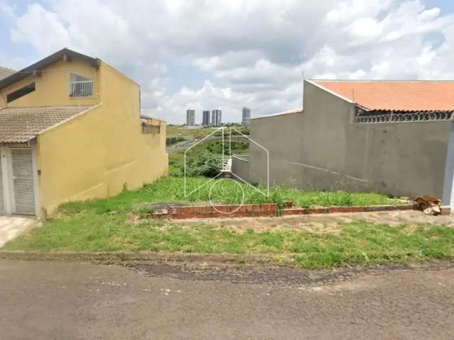 Terreno / Lote para Venda em Marília/SP Jardim Portal do Sol