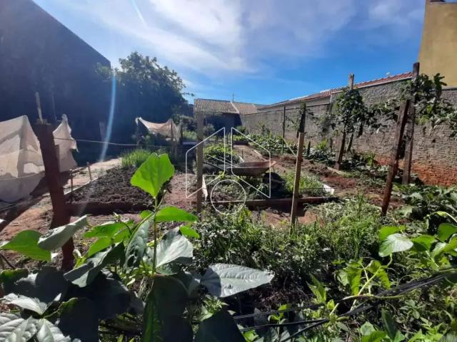 Terreno / Lote para Venda em Marília/SP Jardim Santa Antonieta
